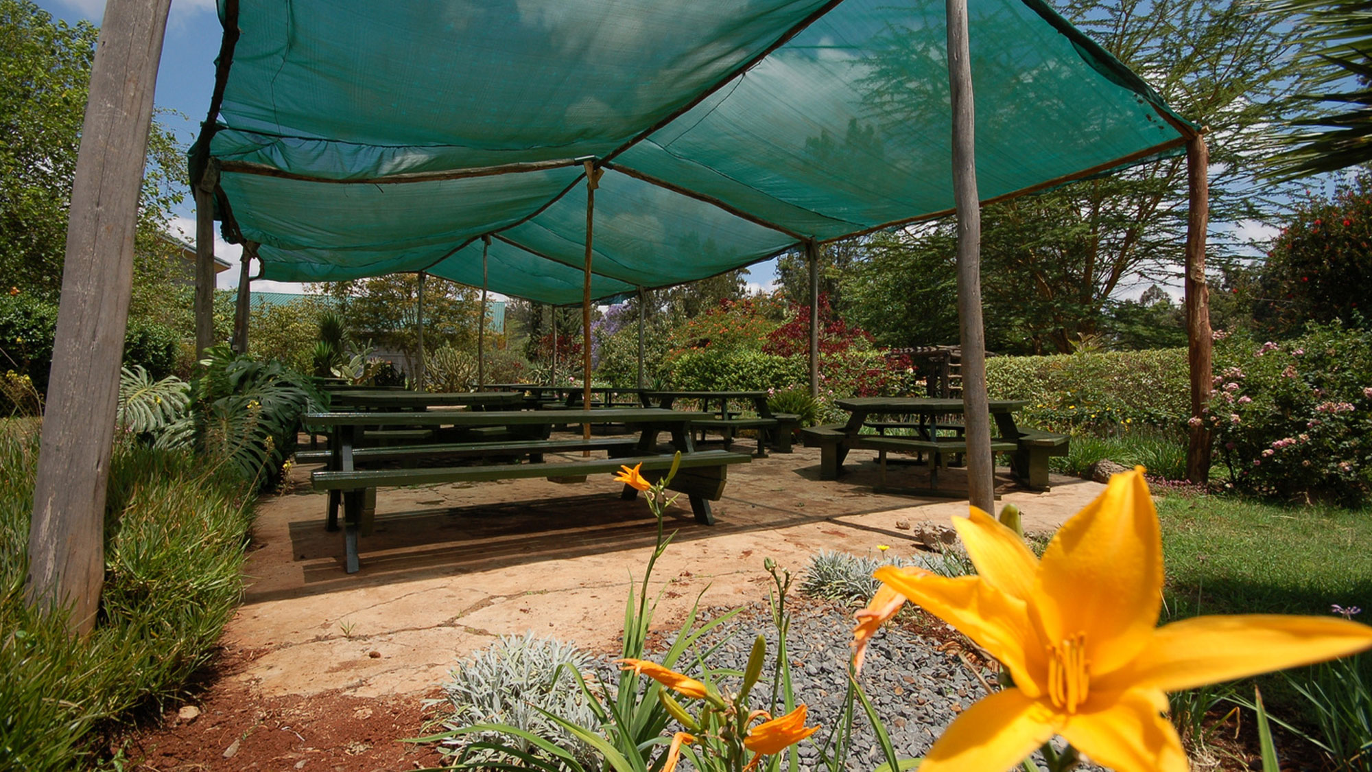 Tumaini Counselling Centre - Africa Inland Mission (Europe)