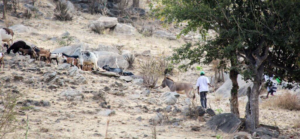 Alagwa people are hearing the word of God... - Africa Inland Mission ...