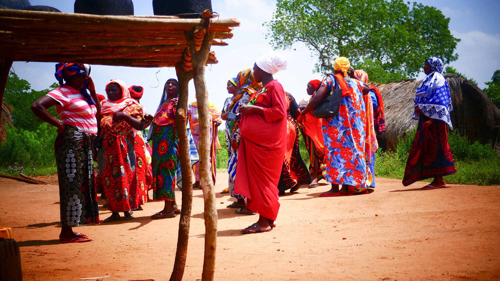 Standing Firm - Africa Inland Mission (Europe)