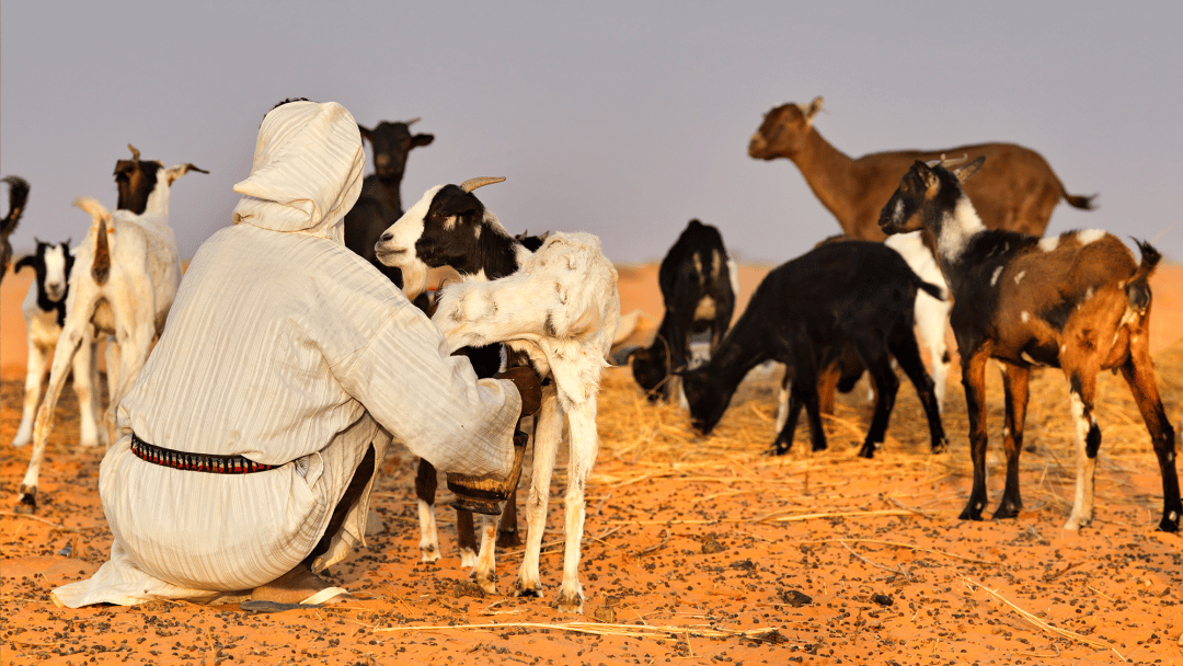 Pray for the Dorobo people - Africa Inland Mission (Europe)