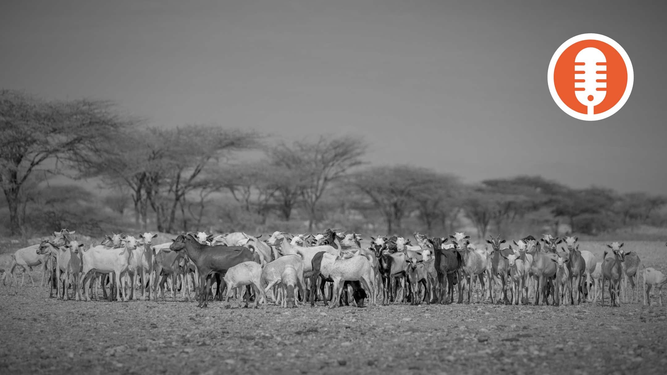 S2 EP12 Amos catches up with Morgan Tierney after his Short Term ...